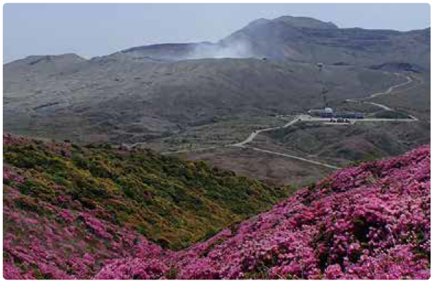 Mt. Aso Visitor Center｜阿蘇山上ビジターセンター