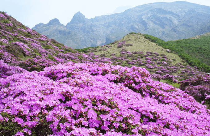 Aso Five Peaks Hiking Information